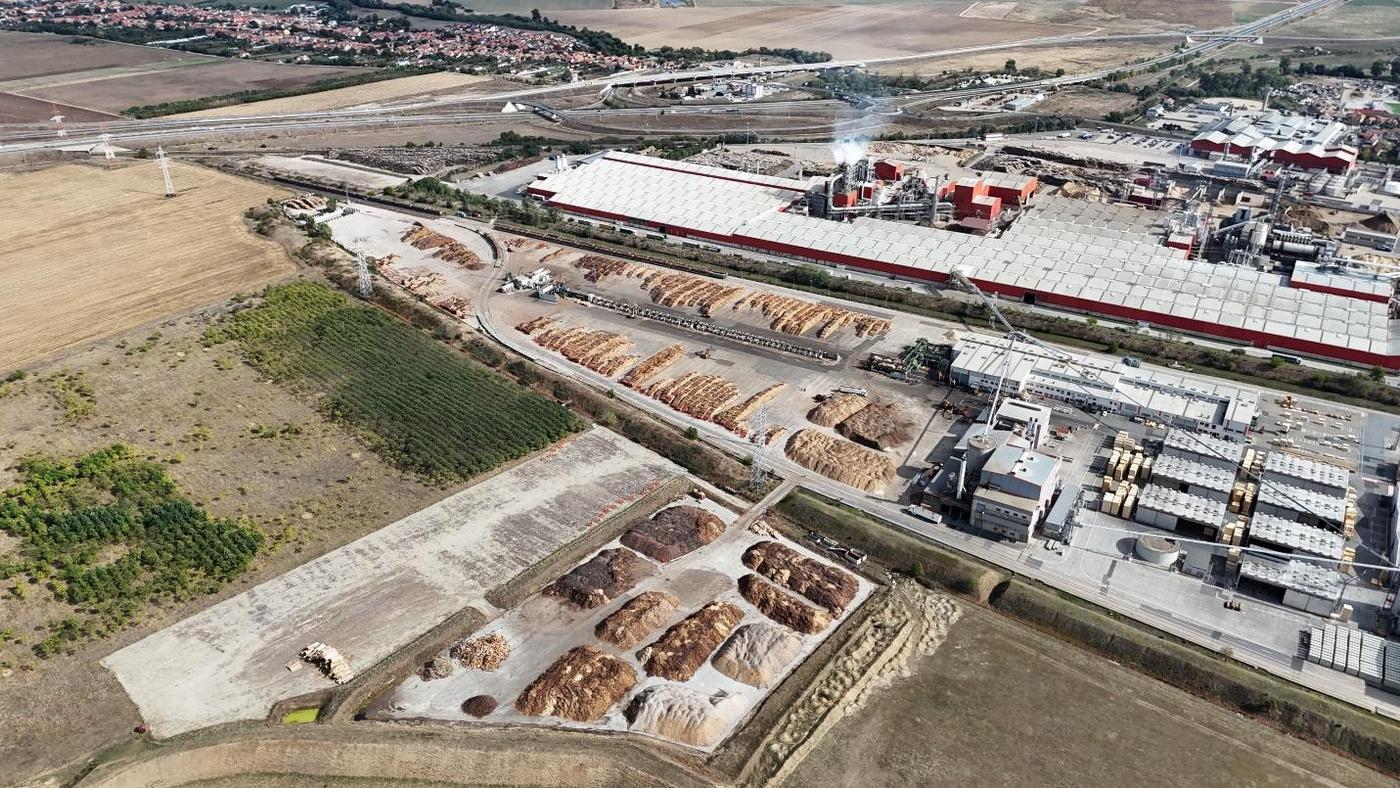 The Romanian timber mafia’s wrongdoings - EuroNatur