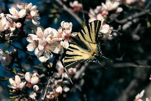 How fit is Europe in when it comes to nature conservation? - EuroNatur