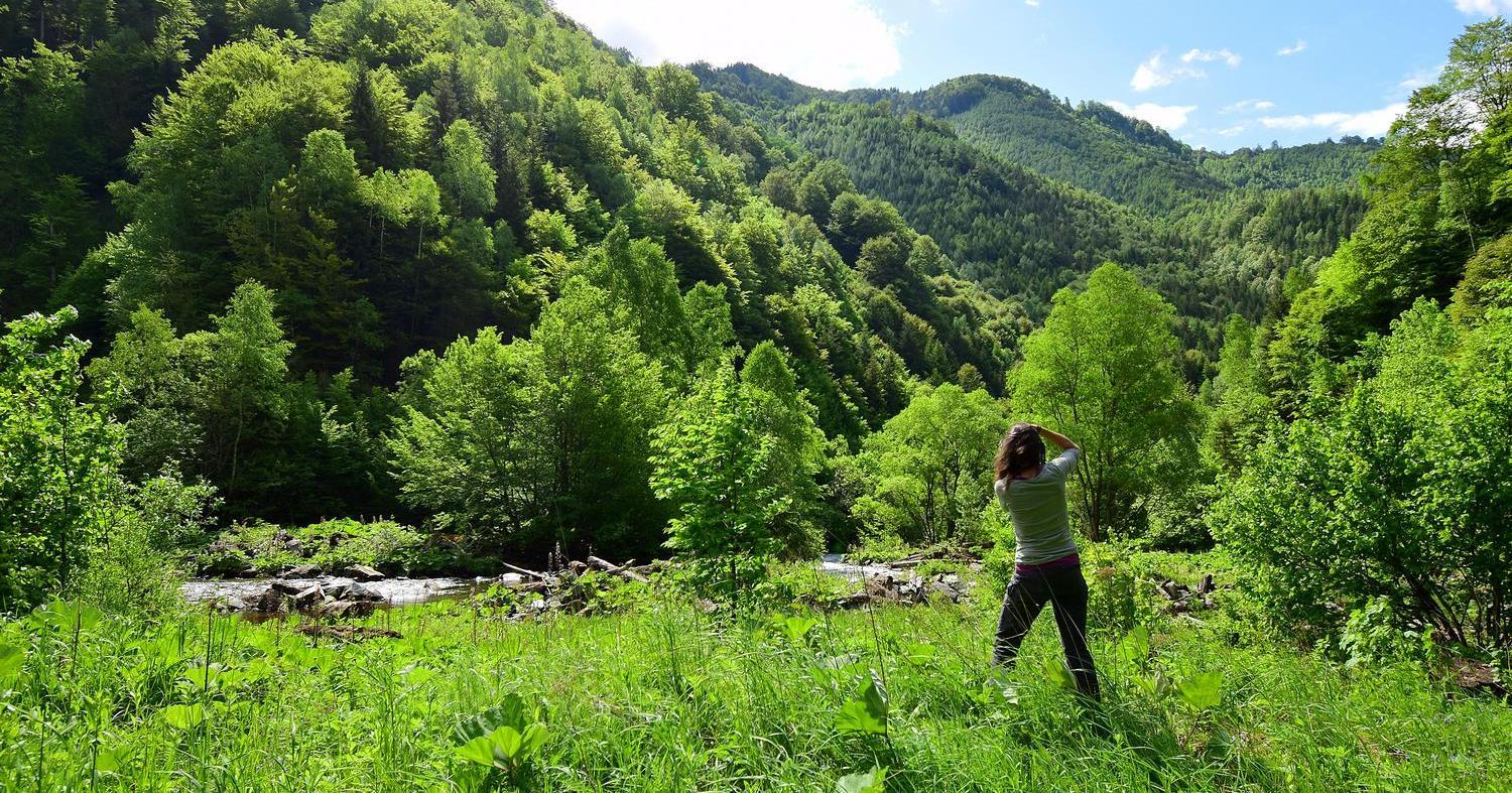 Programmbereichsleitung Waldschutz Voll- /Teilzeit - EuroNatur