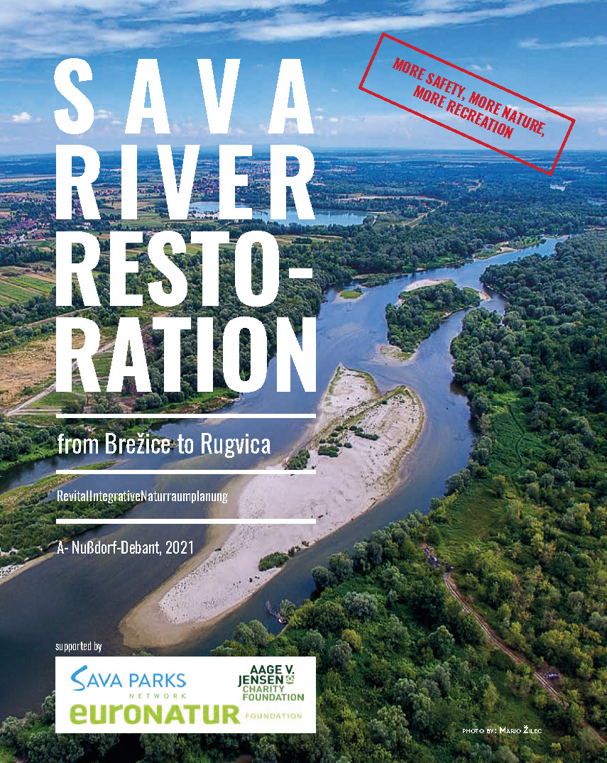 Two new studies on the renaturation of the Sava - EuroNatur
