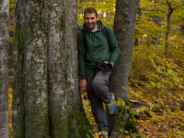 Save Europe’s last paradise forests! - EuroNatur